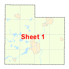 Rice County Maps